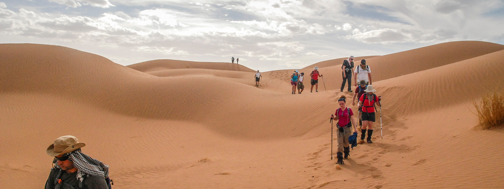 Dame Hannahs | Sahara Trek